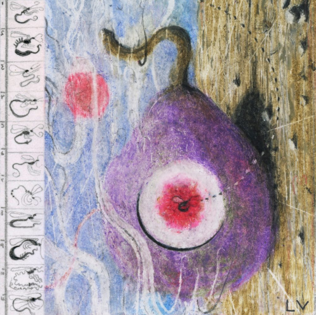 Album Review: Inside Every Fig is a Dead Wasp // Lunar Vacation : The ...